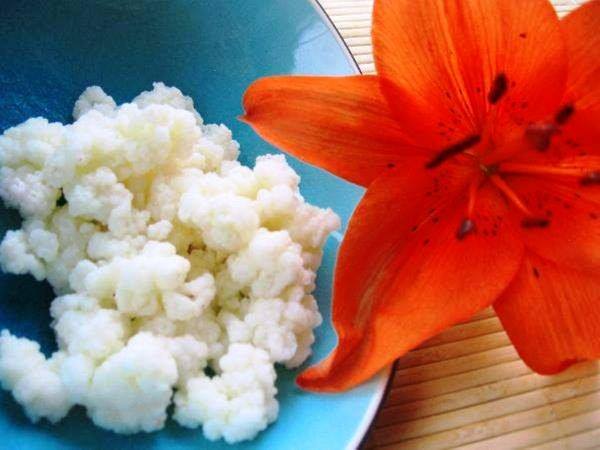 Milk Kefir FAQ | Buy Milk Kefir Grains | Online Milk Kefir in India ...